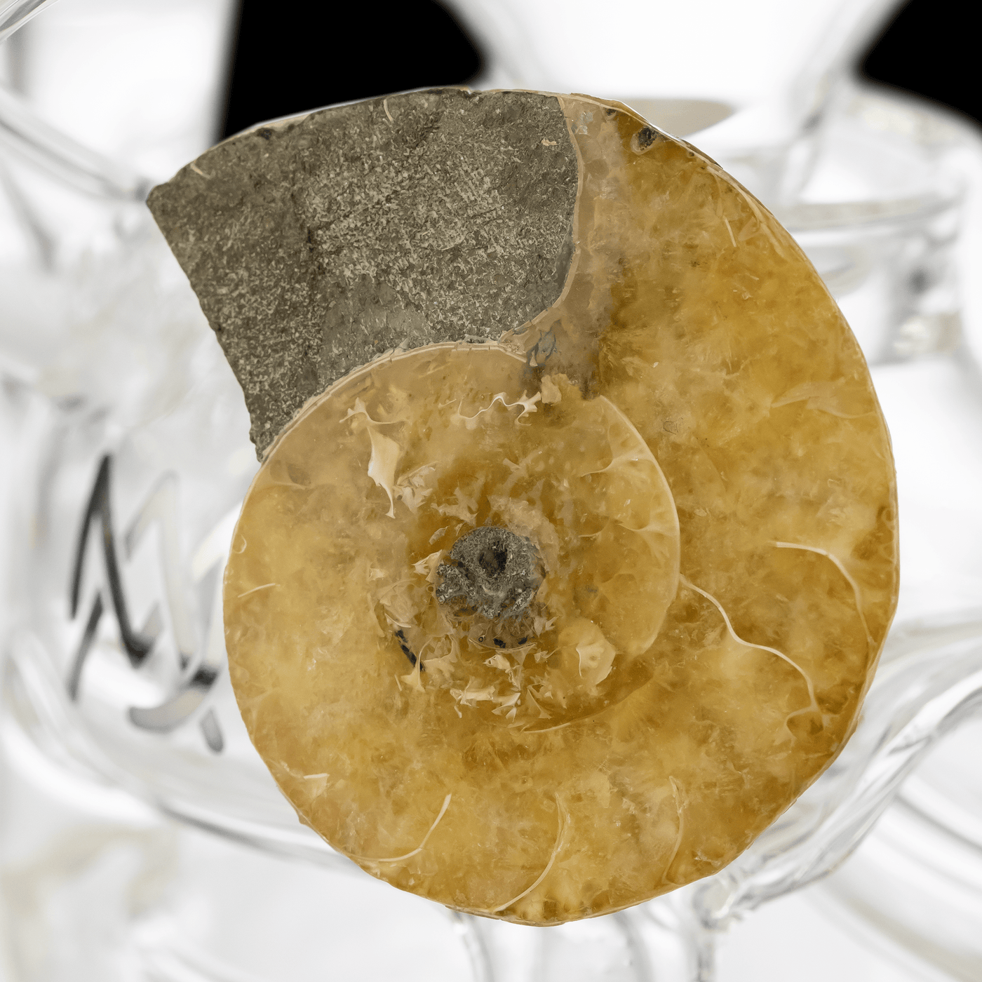 MJA X Alchemy Charm Infinity Dab Rig- LE Coral Collection